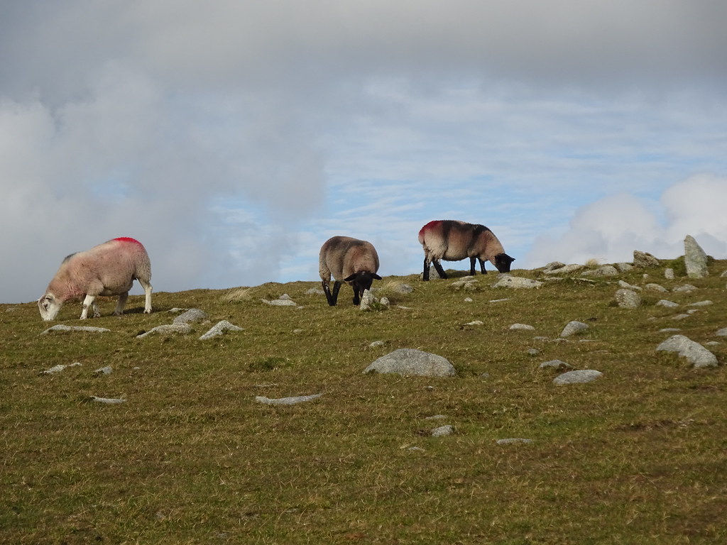 Slieve Donard by the Scenic Route – Walking Stories